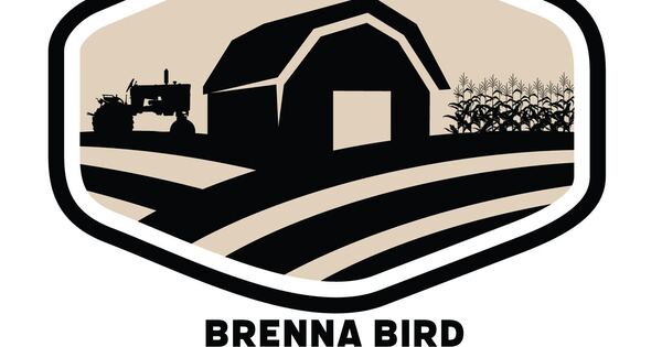 Attorney General Brenna Bird